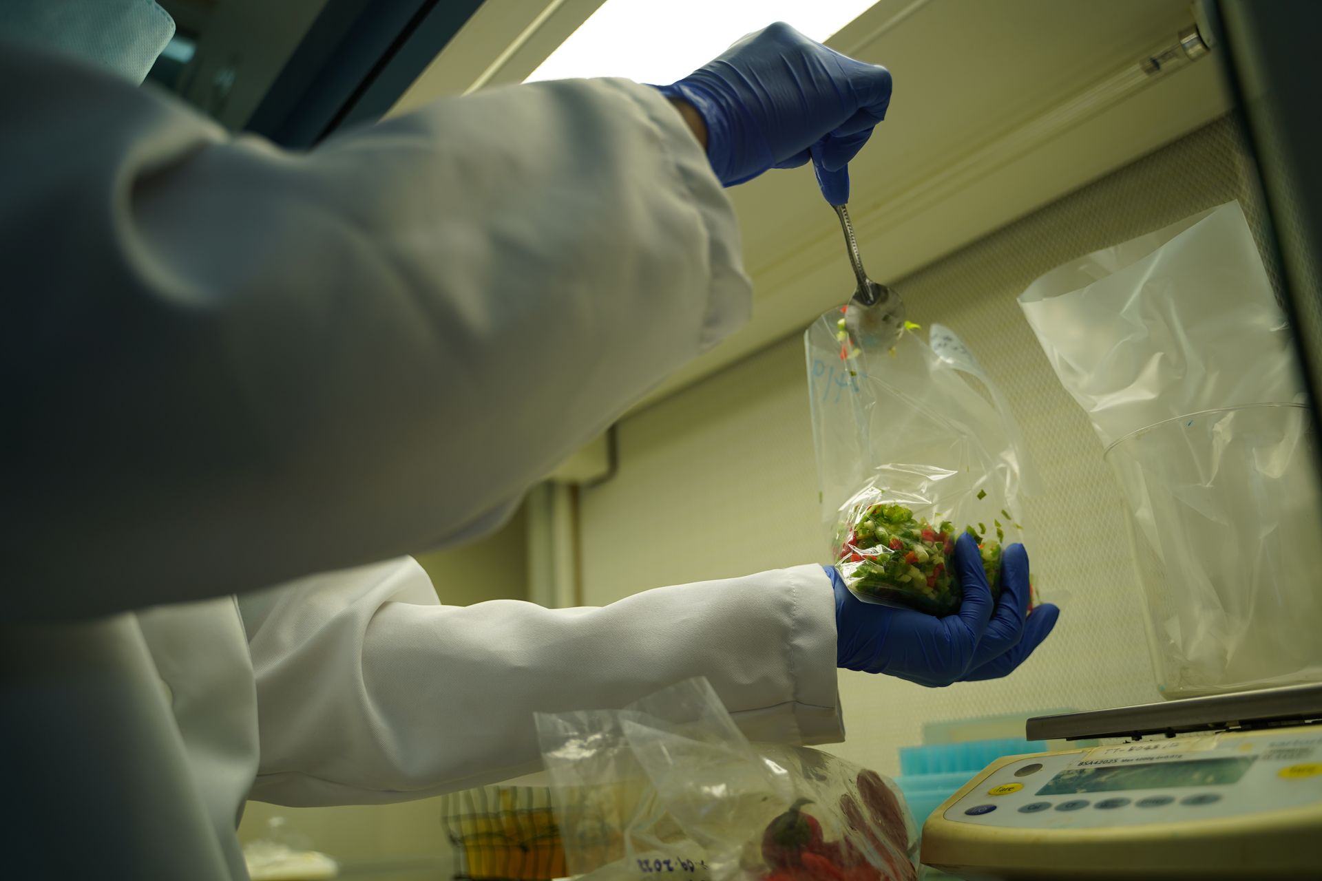 Home | T&T Borneo Laboratory